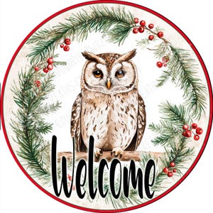 Winter Owl Welcome Sign, Owl Sign, Christmas Owl Wreath Sign,rustic Owl ...