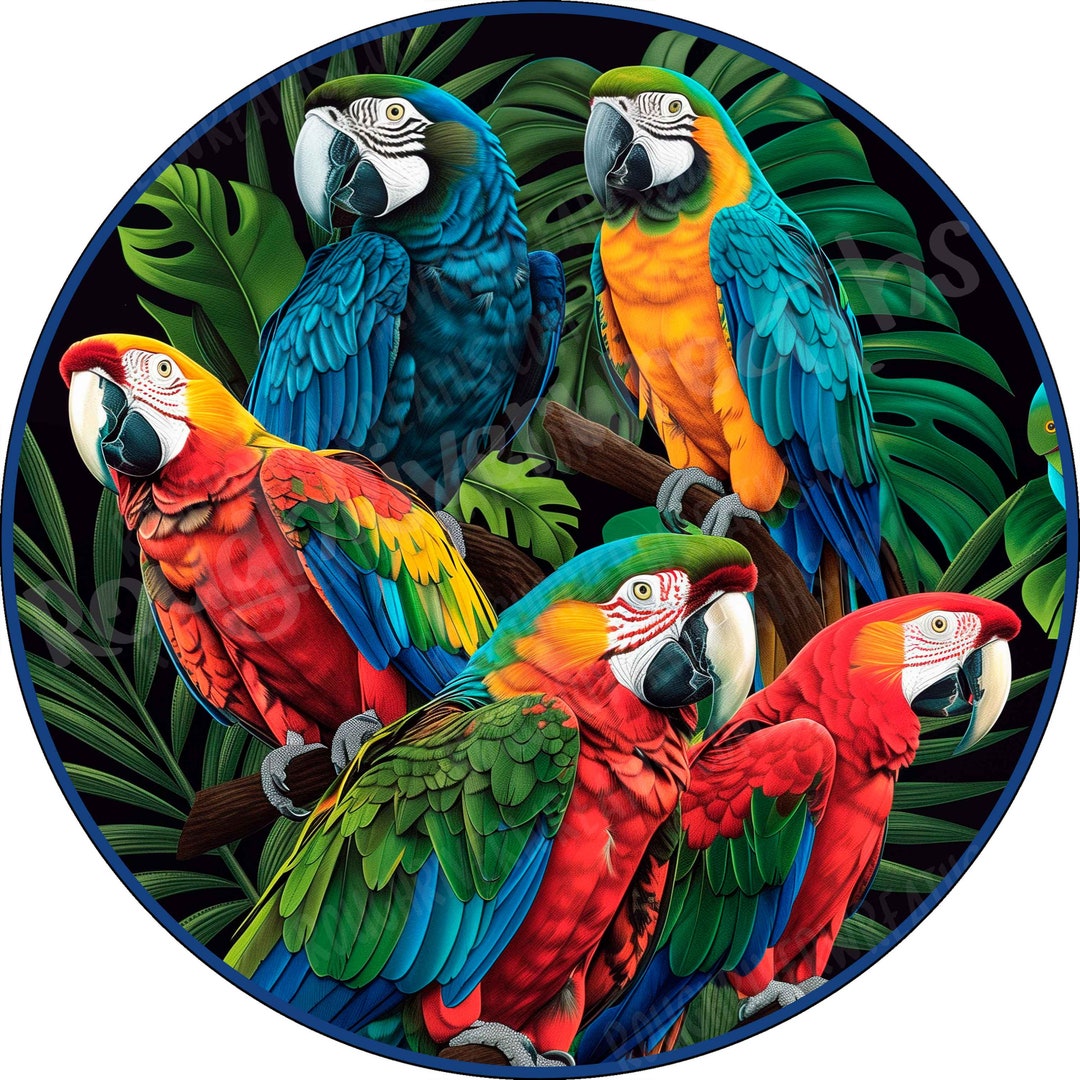 Parrot Wreath Sign, Wreath Sign, Tropical Parrot Wreath Sign, Wreath ...
