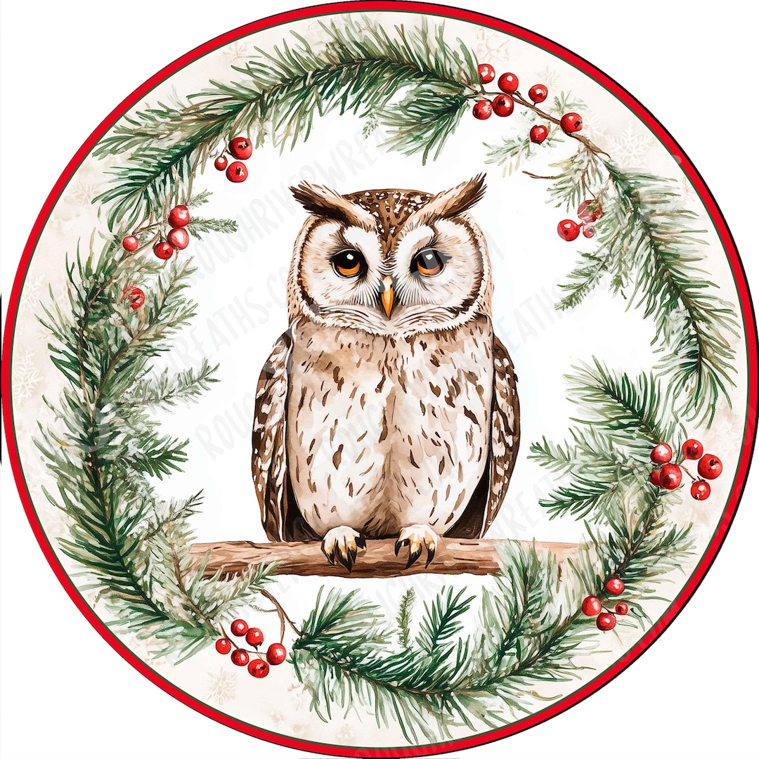 Winter Owl Welcome Sign, Owl Sign, Christmas Owl Wreath Sign,rustic Owl ...