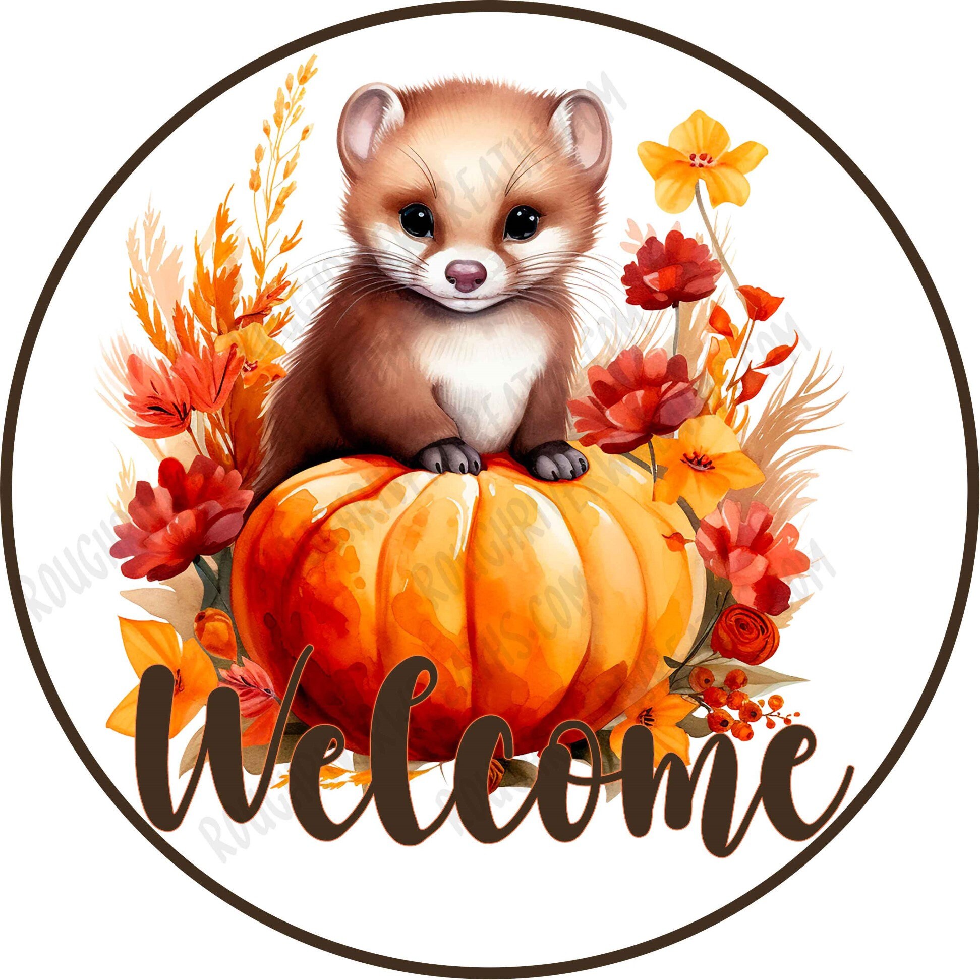 Cute Baby Weasels