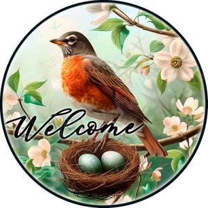 Robin Bird Wreath Sign, Wreath Sign, Robin Nest With Eggs Wreath Sign ...