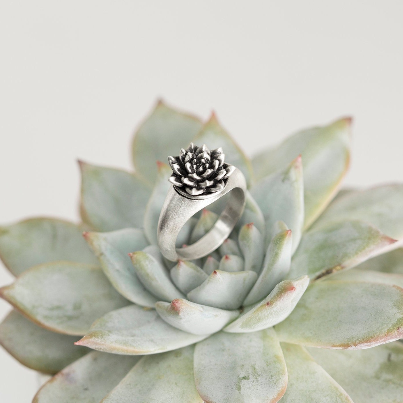 Succulent Plant Ring 2 | Etsy