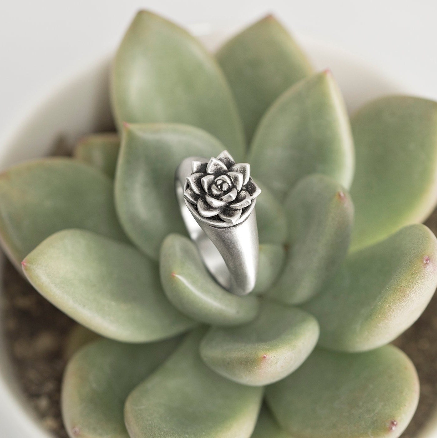 Succulent Plant Ring #1 - Etsy