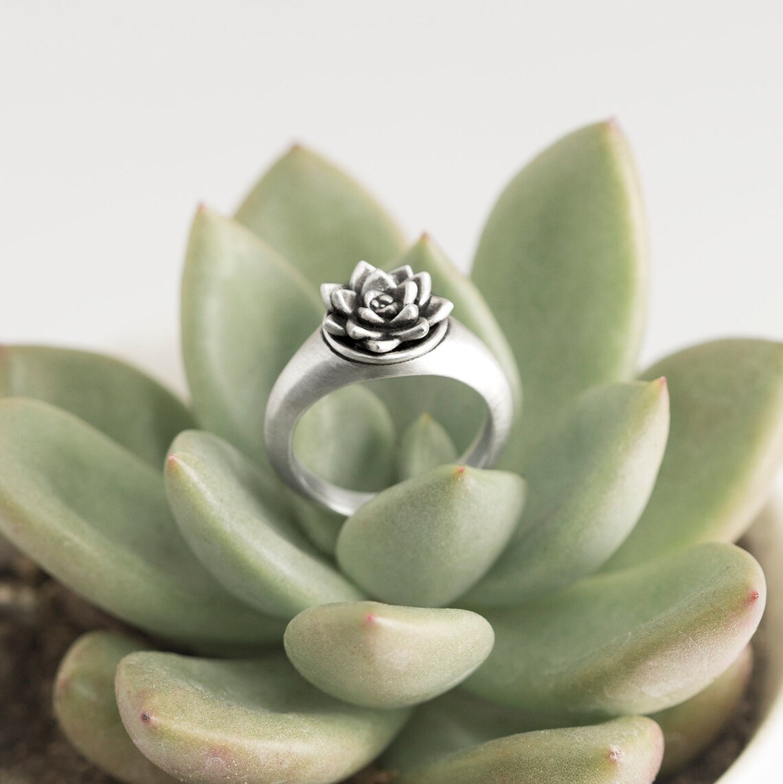 Succulent Plant Ring 1 | Etsy