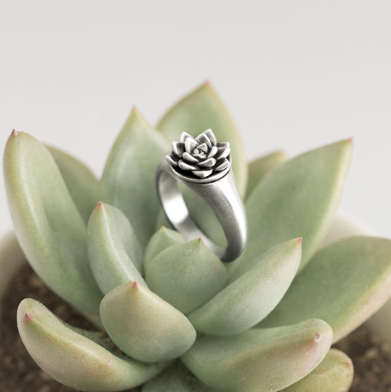 Succulent Plant Ring #1 - Etsy