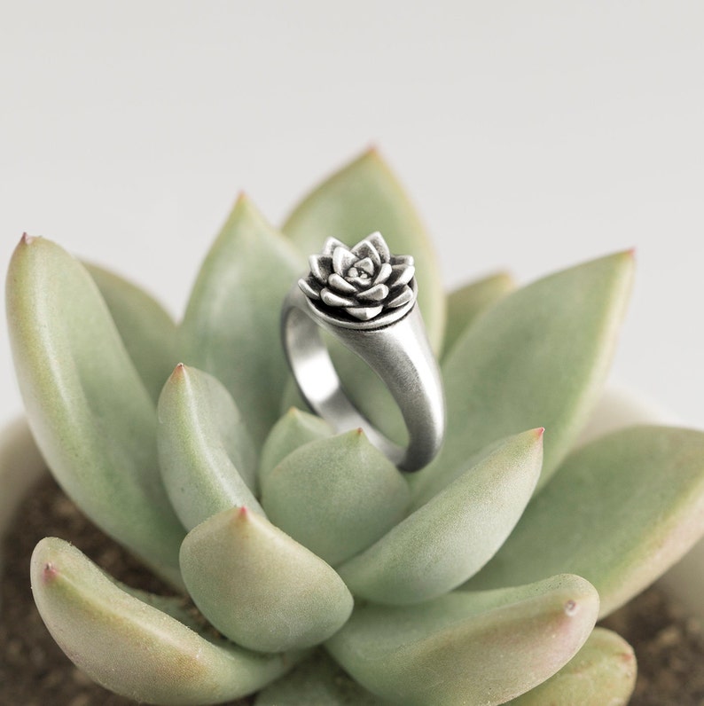 Succulent Plant Ring #1 - Etsy