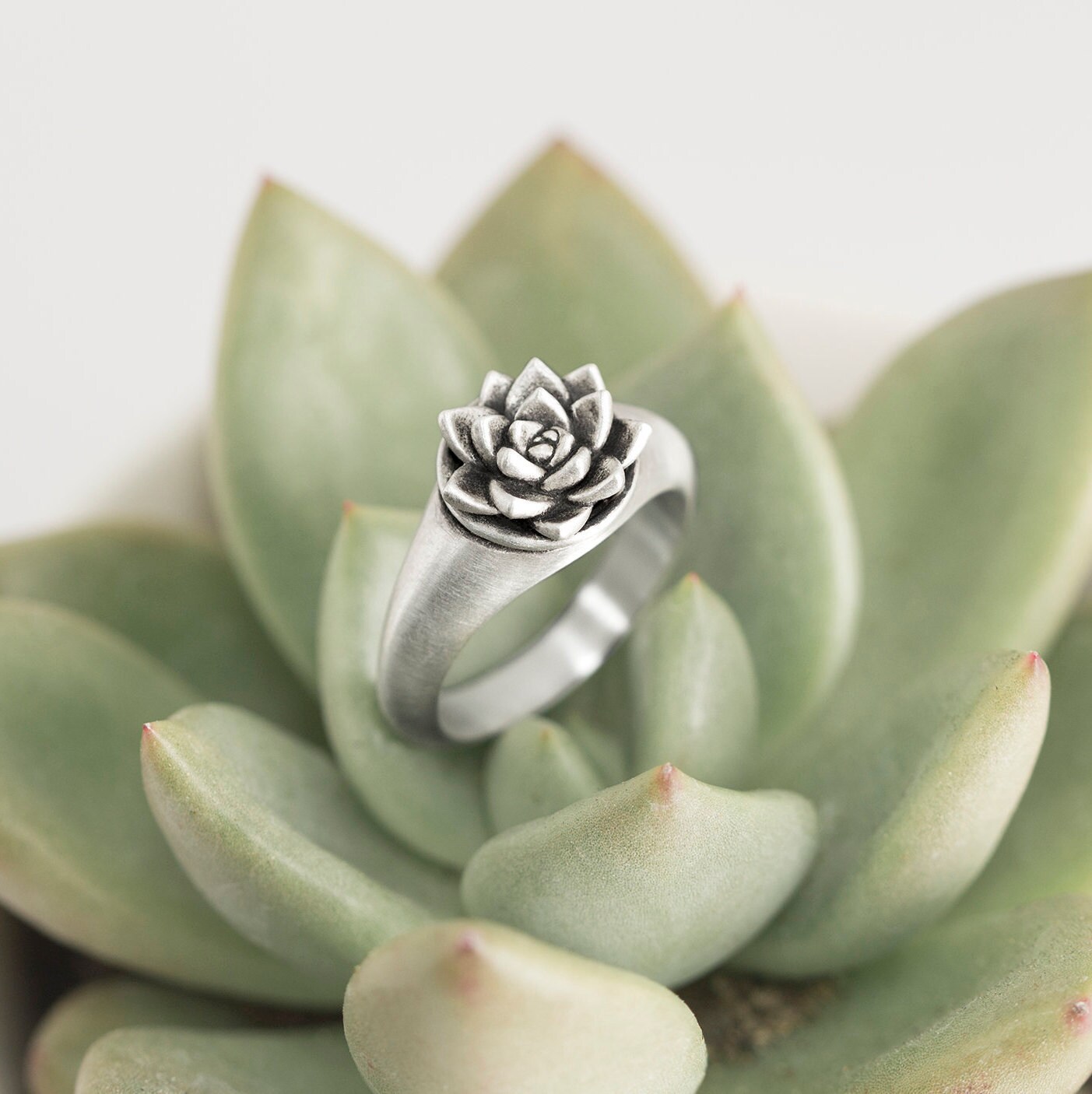 Succulent Plant Ring #1 - Etsy