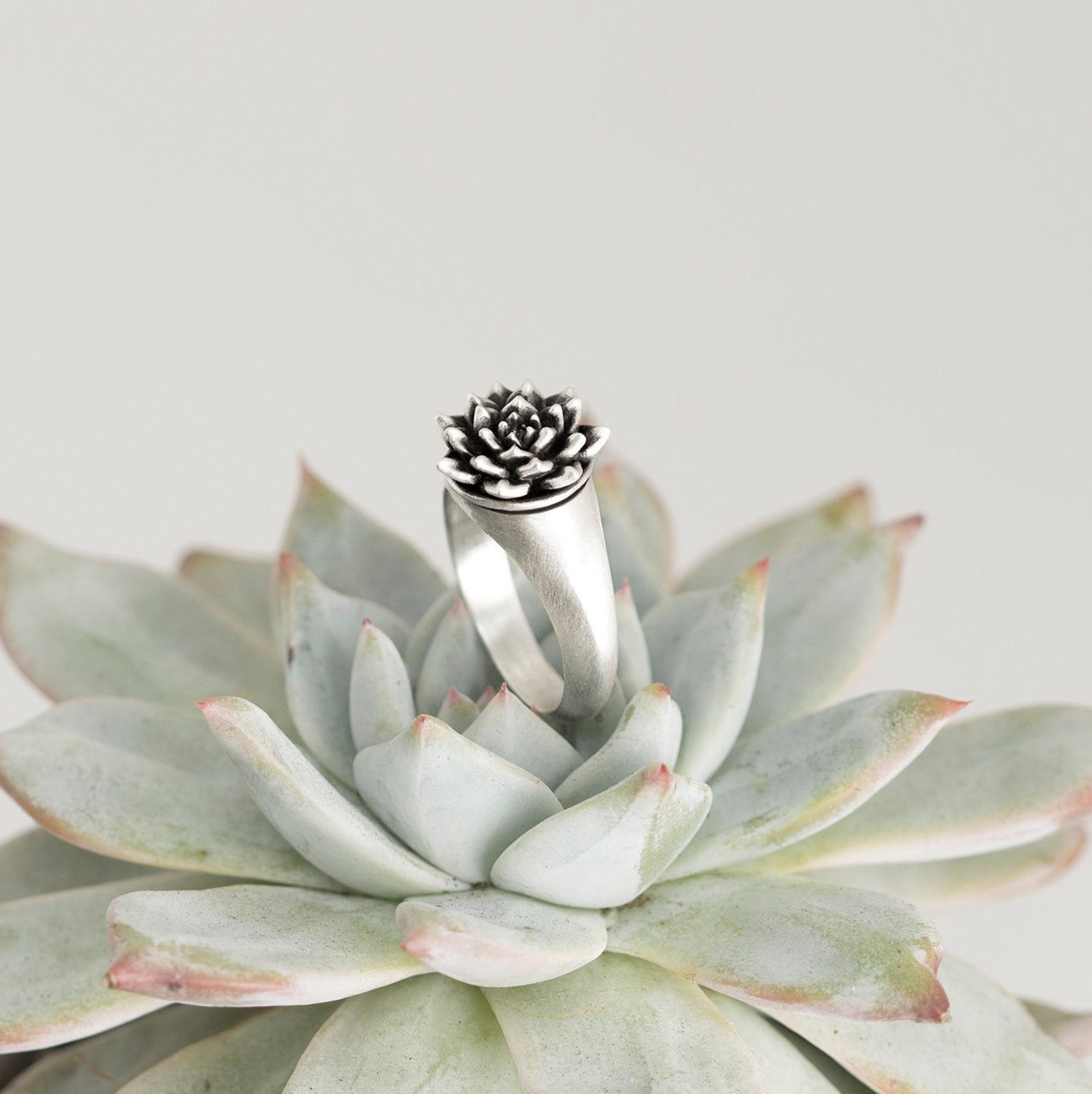 Succulent Plant Ring 2 - Etsy