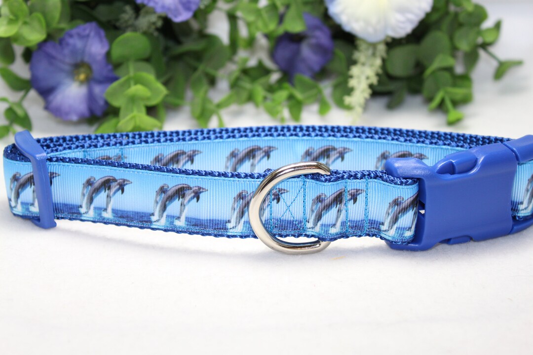 Large Adjustable Dolphin Dog Collar/ Dolphin Dog Collar/ Ocean Dog ...
