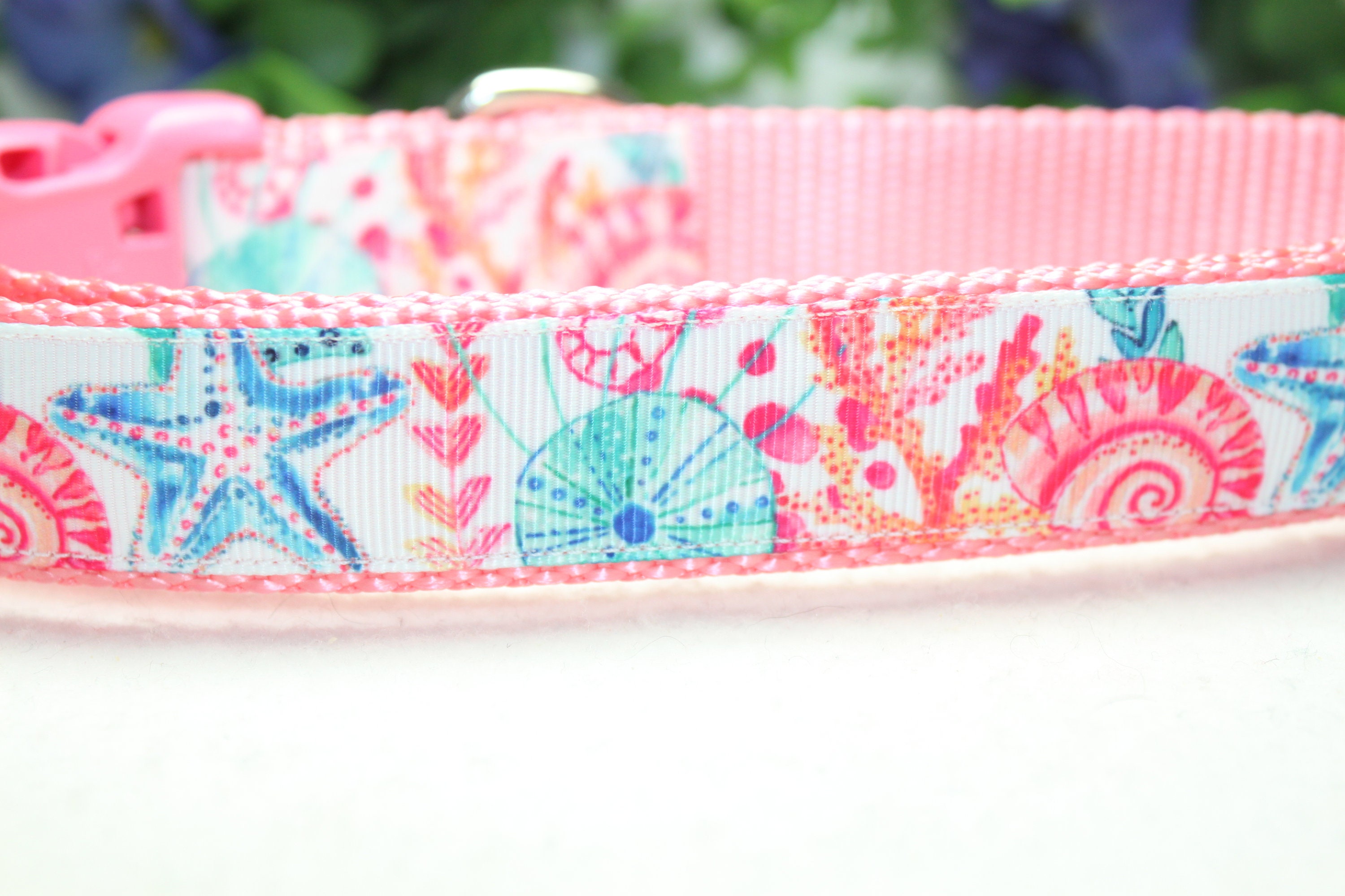 Large Adjustable Beach Dog Collar/ Colorful Seashell Sand | Etsy