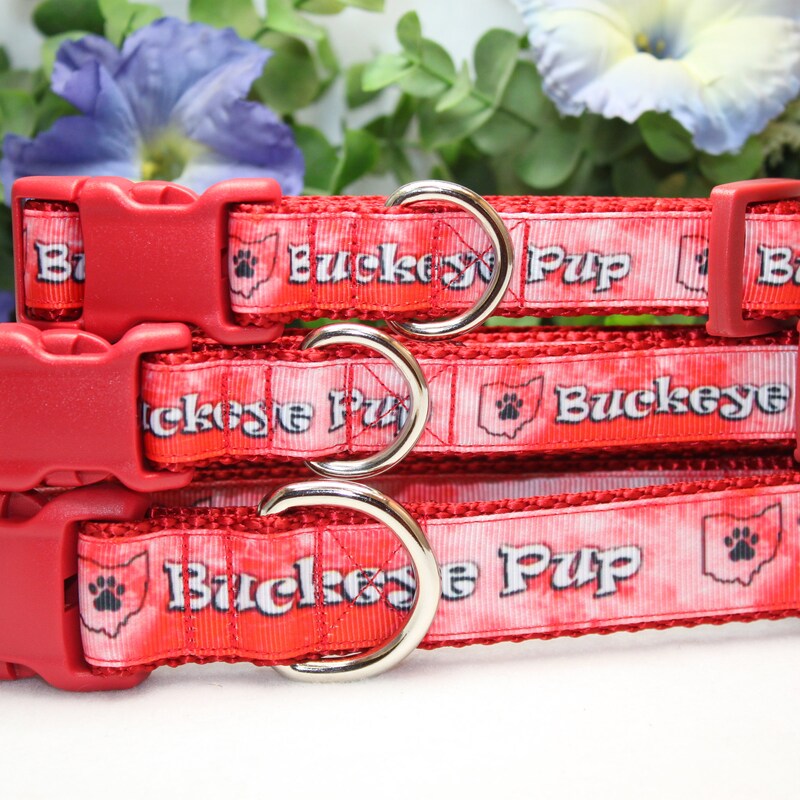 Ohio State Dog - Etsy
