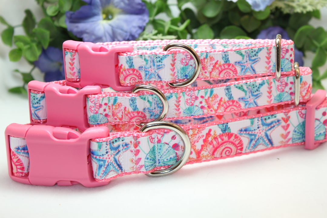 Large Adjustable Beach Dog Collar/ Colorful Seashell, Sand Dollar, and ...