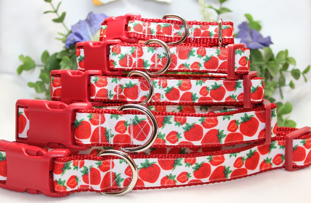 Adjustable Strawberry Dog Collar Available in 4 Sizes, Summer Dog ...