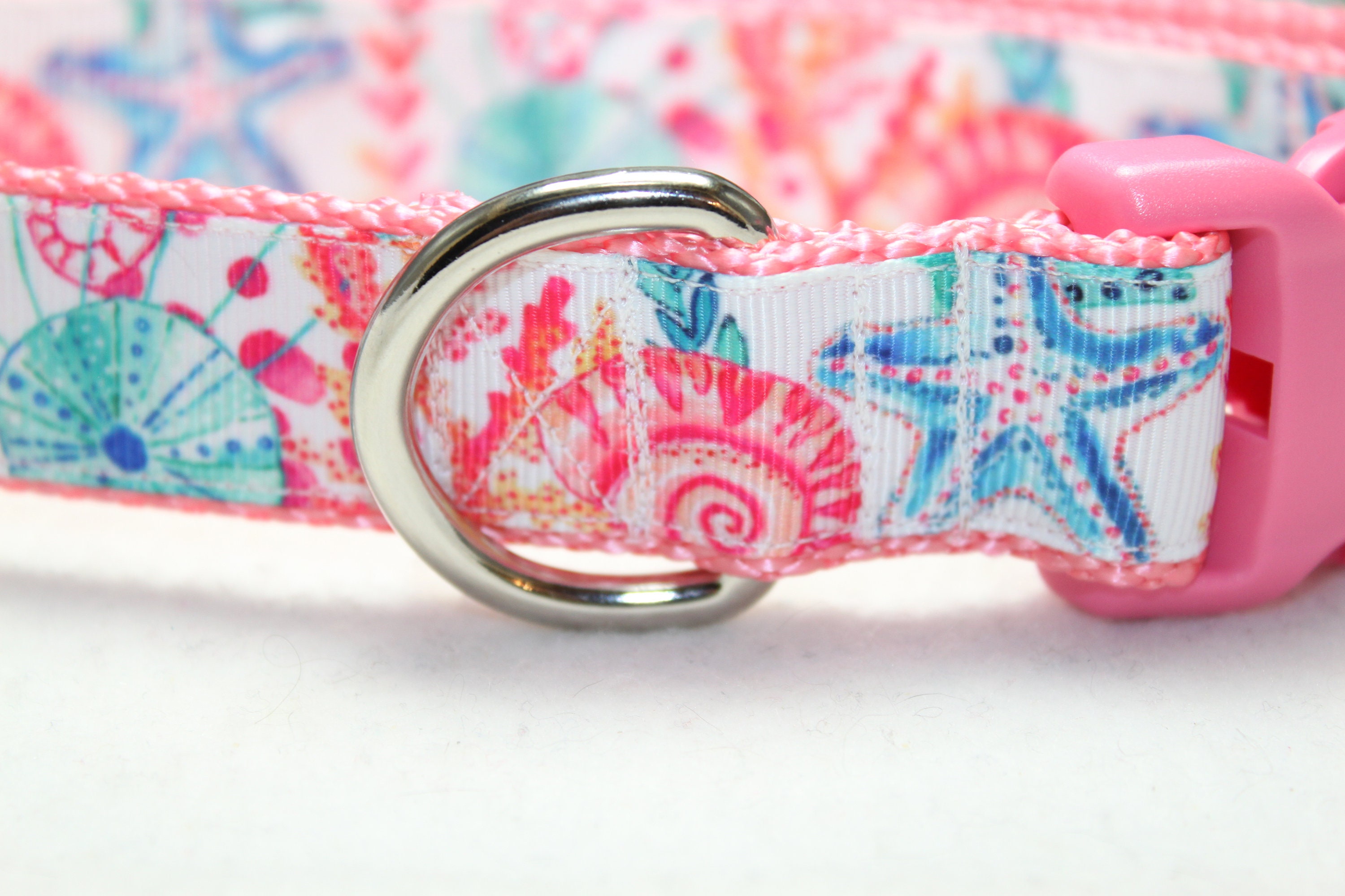 Large Adjustable Beach Dog Collar/ Colorful Seashell Sand | Etsy