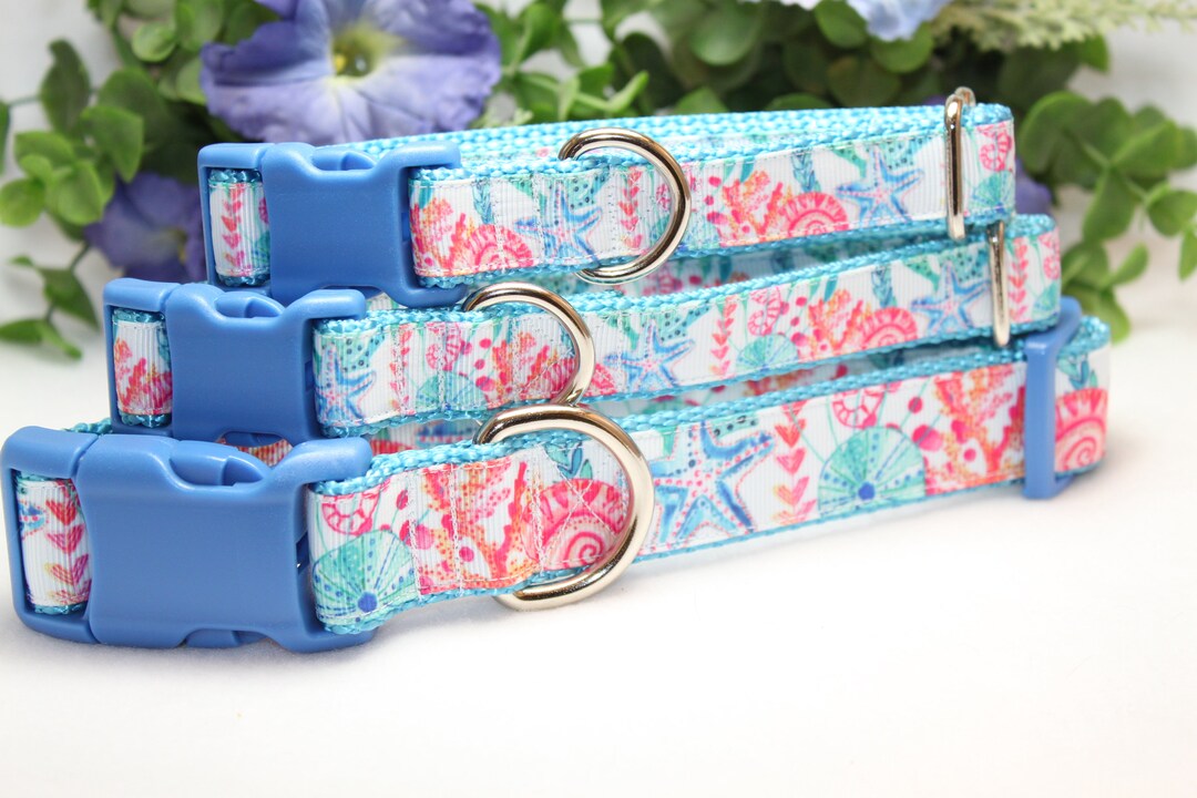 Adjustable Beach Dog Collar in Multiple Sizes/ Colorful Seashell, Sand ...