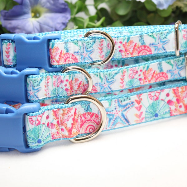 Starfish Dog Collar - Etsy