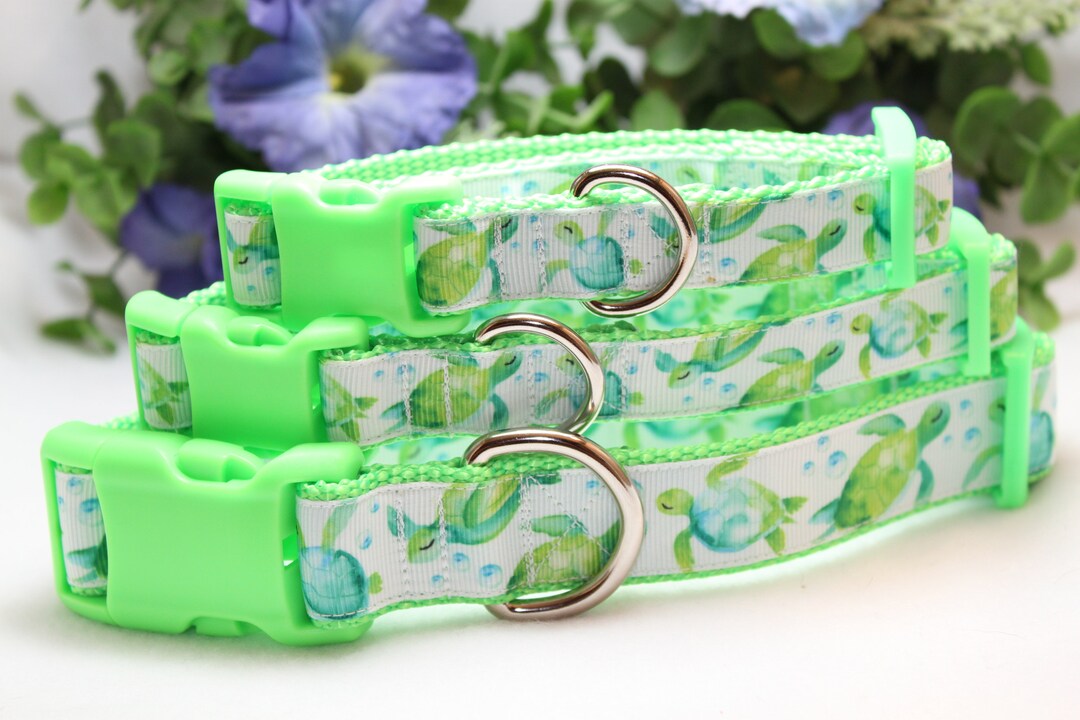 Adjustable Large Sea Turtle Dog Collar/green Turtle Dog Collar/sea ...