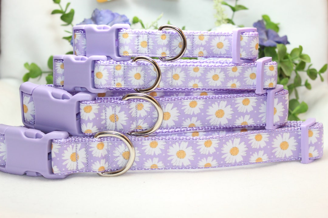 Large Adjustable Purple Daisy Collar Perfect Summer Collar for Girly ...