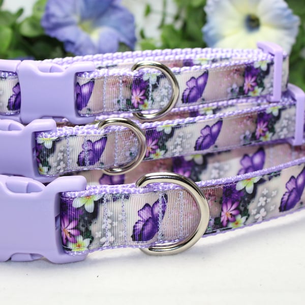 Purple Dog Collar - Etsy