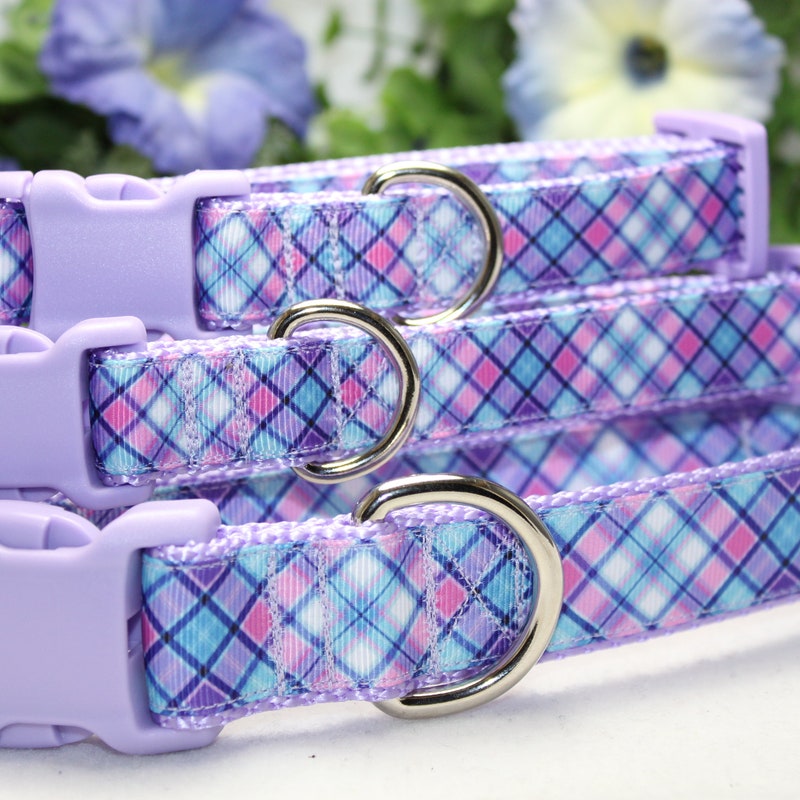 Spring Dog Collar - Etsy