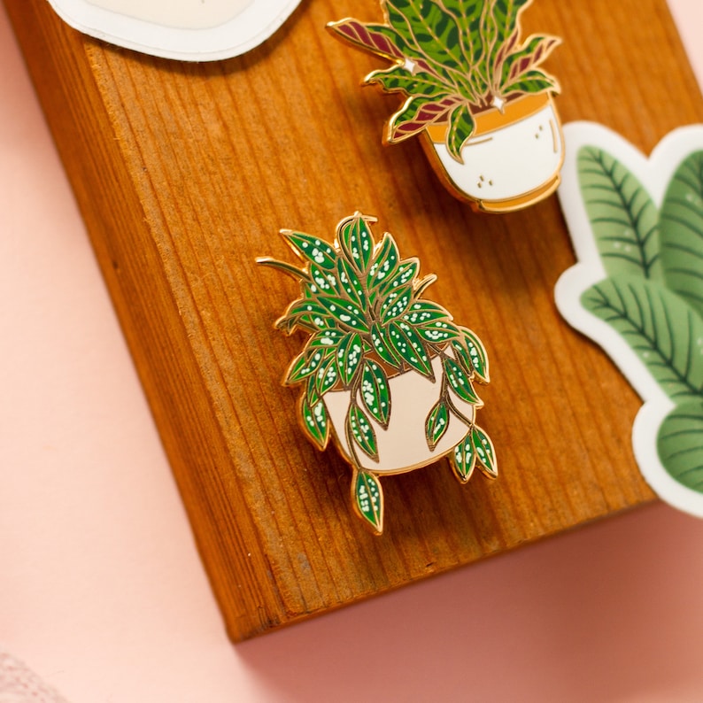 Hoya Splash Plant Enamel Pin: Gold-plated Houseplant Pin - Etsy