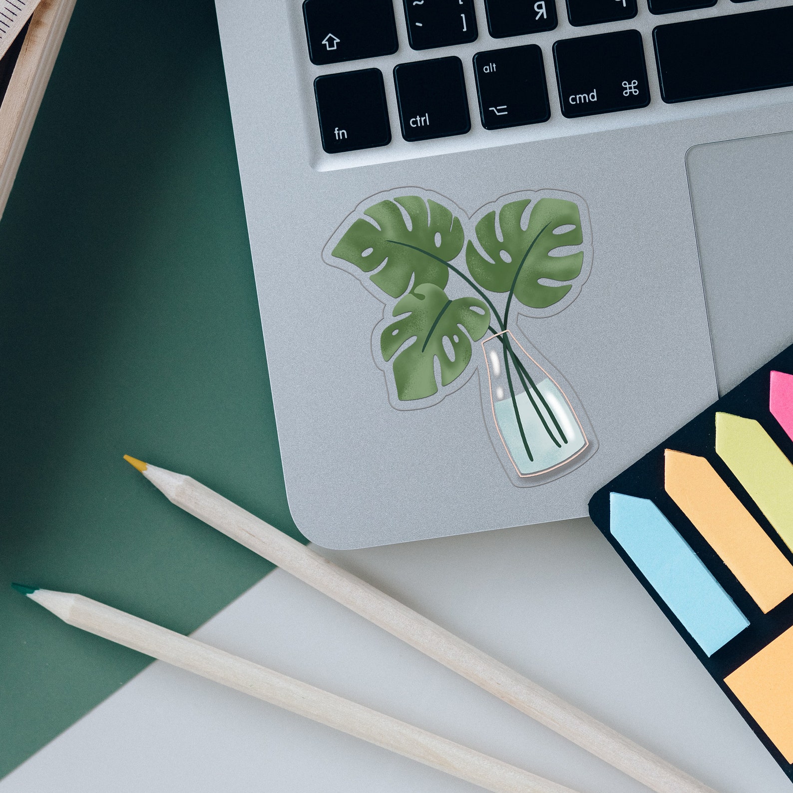 Monstera Sticker Plant Vinyl Sticker A Vase of Monstera - Etsy