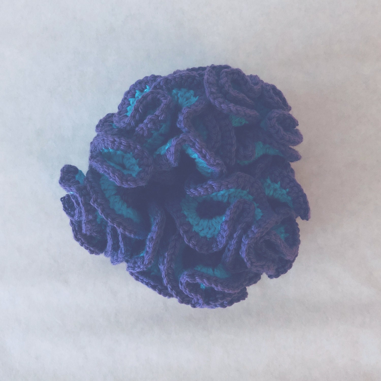 How to Crochet Hyperbolic Corals Two Ways (PDF Pattern and Instructions ...