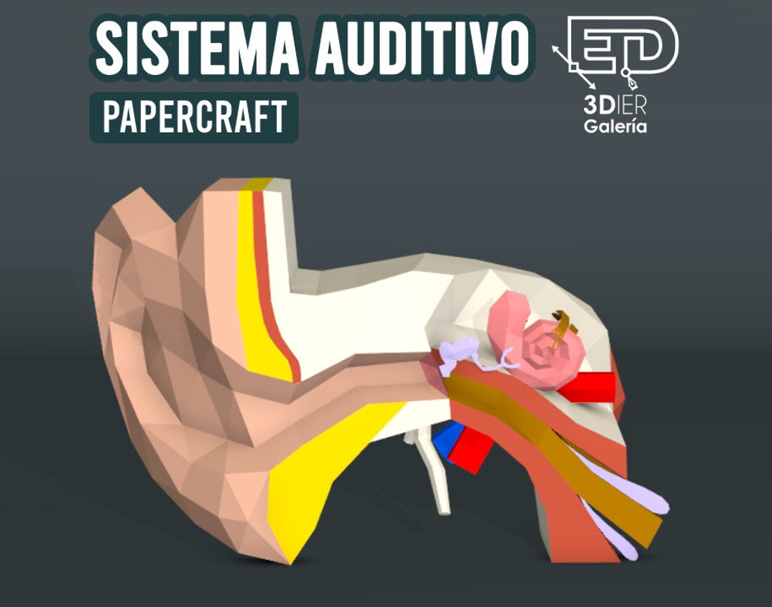 Hearing System, Ear 3d PDF Papercraft, Paper Art and Craft for Home ...