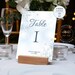 Winter Wonderland Wedding Table Numbers Template Editable Table Number ...