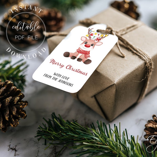 Reindeer Gift Tag - 60+ Gift Ideas for 2023