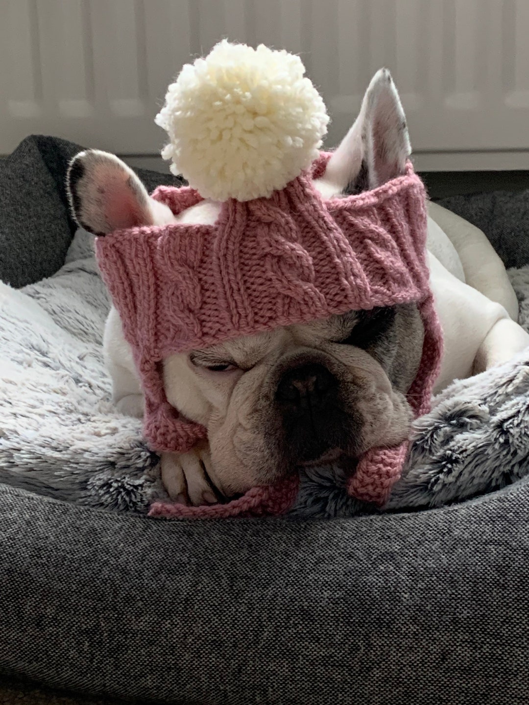 Dog Bonnet , Hand Knitted Dog Bonnet, Puppy Hat, Pet Clothing, Dog ...