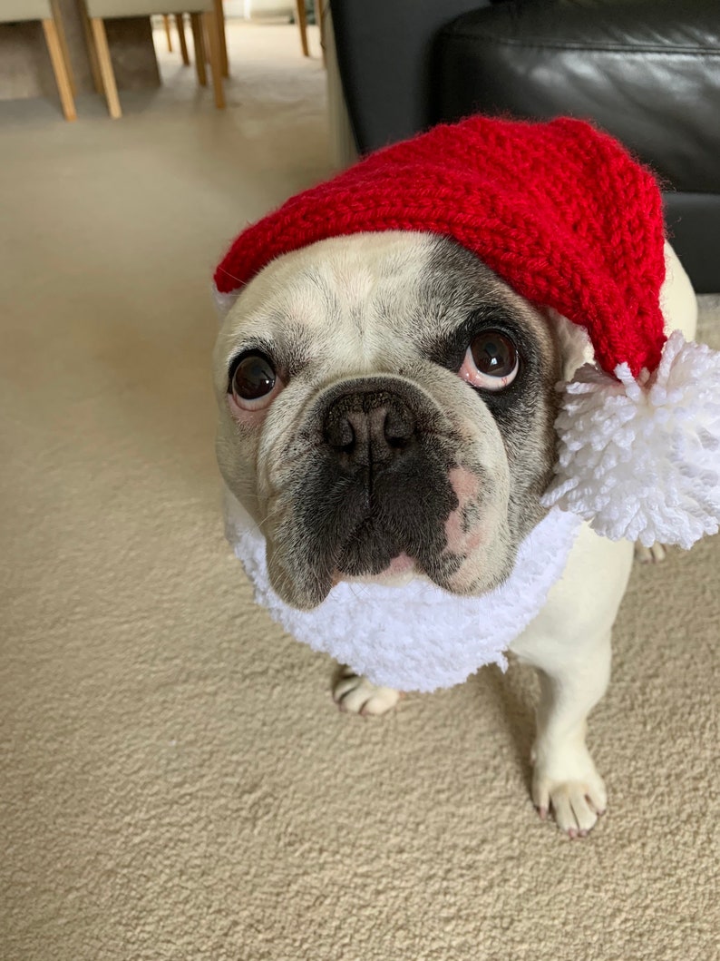 Dog Santa Hat Red Santa Hat Woolly Hat Pet Winter Clothing - Etsy UK