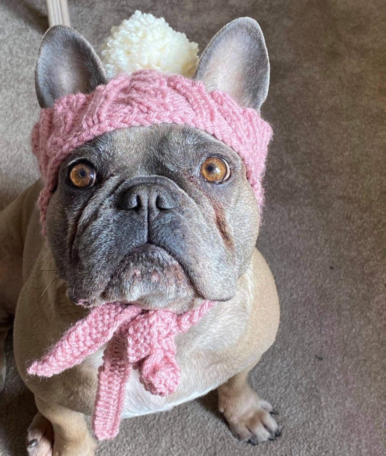 Dog Bonnet Hand Knitted Dog Bonnet Puppy Hat Easter Dog - Etsy