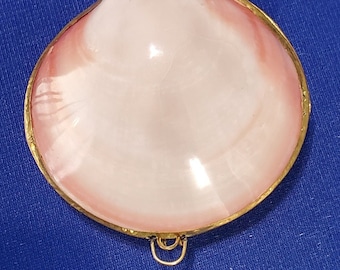 Shell Coin Purse - Etsy