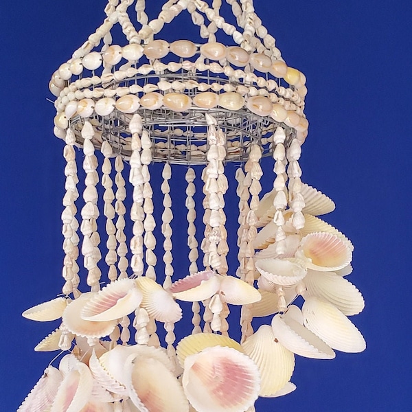 Seashell Chandelier - Etsy