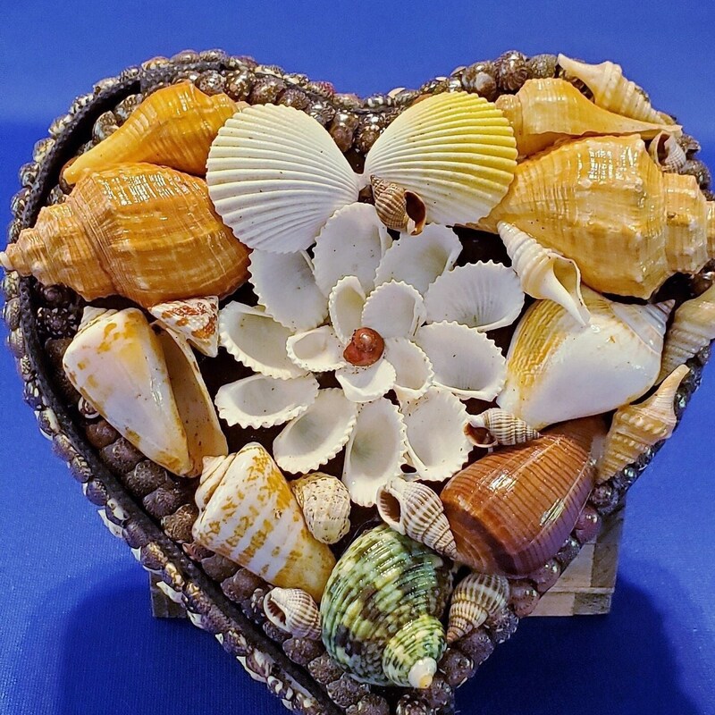 Seashell Jewelry Box - Etsy
