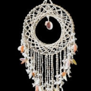Dream Catcher Moon Shells and Rose Cockle Sea Shell Chandelier - Etsy