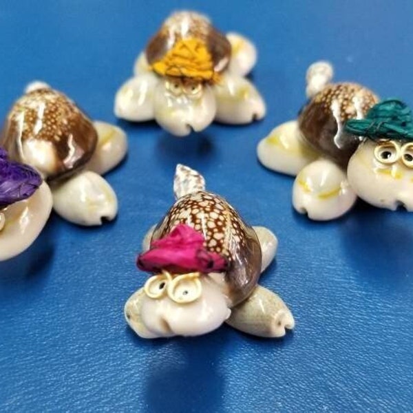 Seashell Turtle - Etsy