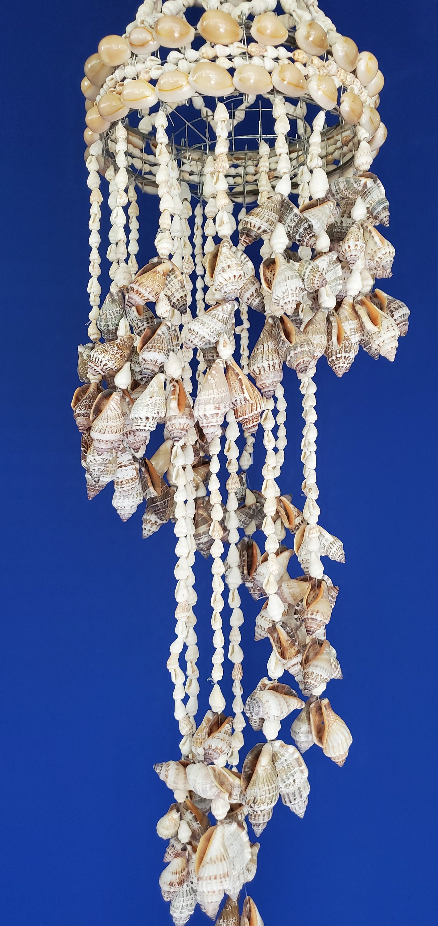 24 Chula Seashell Chandelier - Etsy