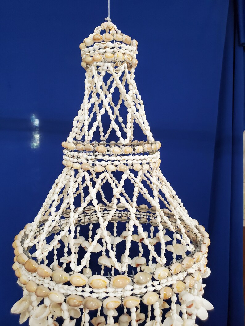 Shell Chandelier With Moon Shells - Etsy