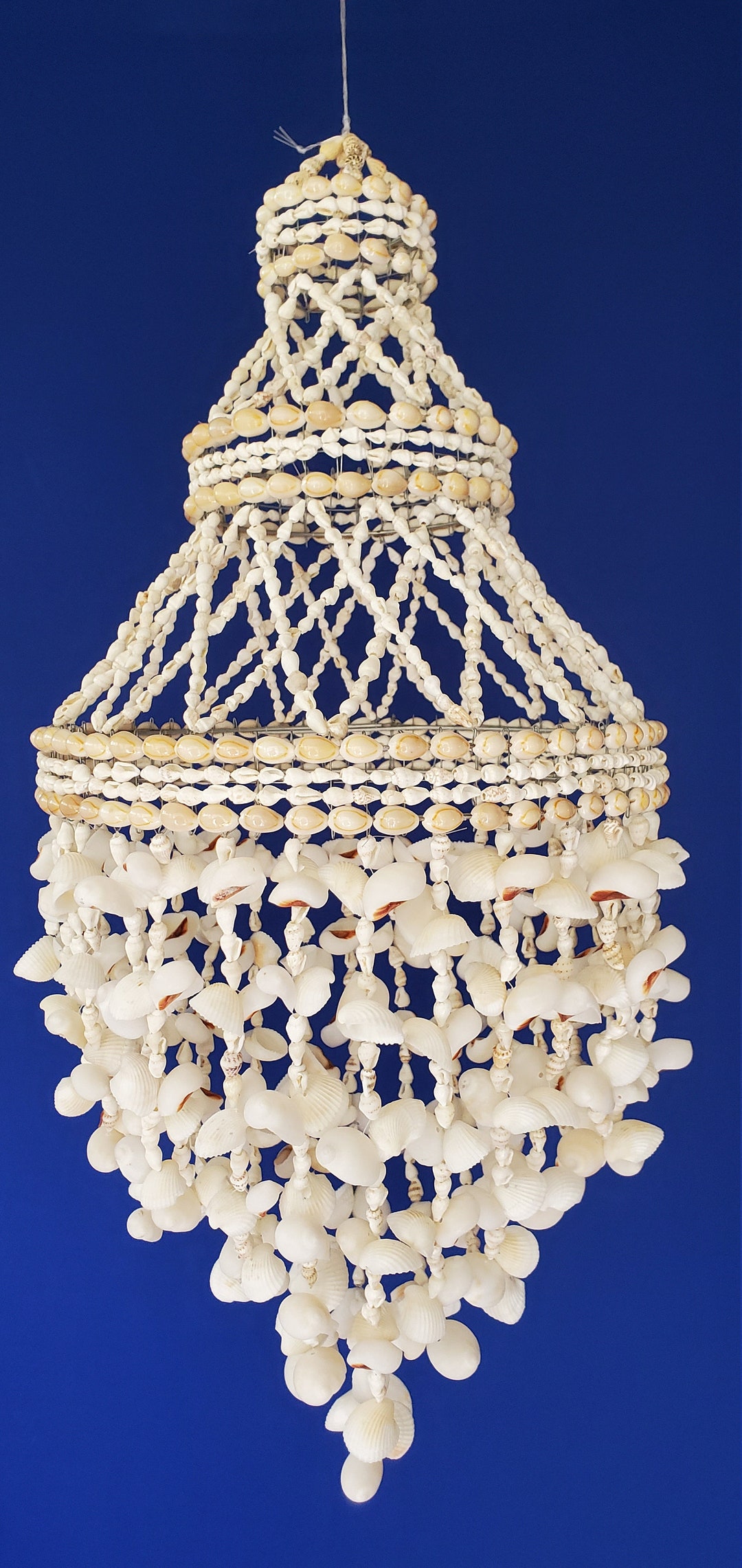 Shell Chandelier With Moon Shells - Etsy