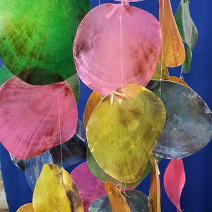 Vine Top Placuna Seashell Chandelier - Etsy