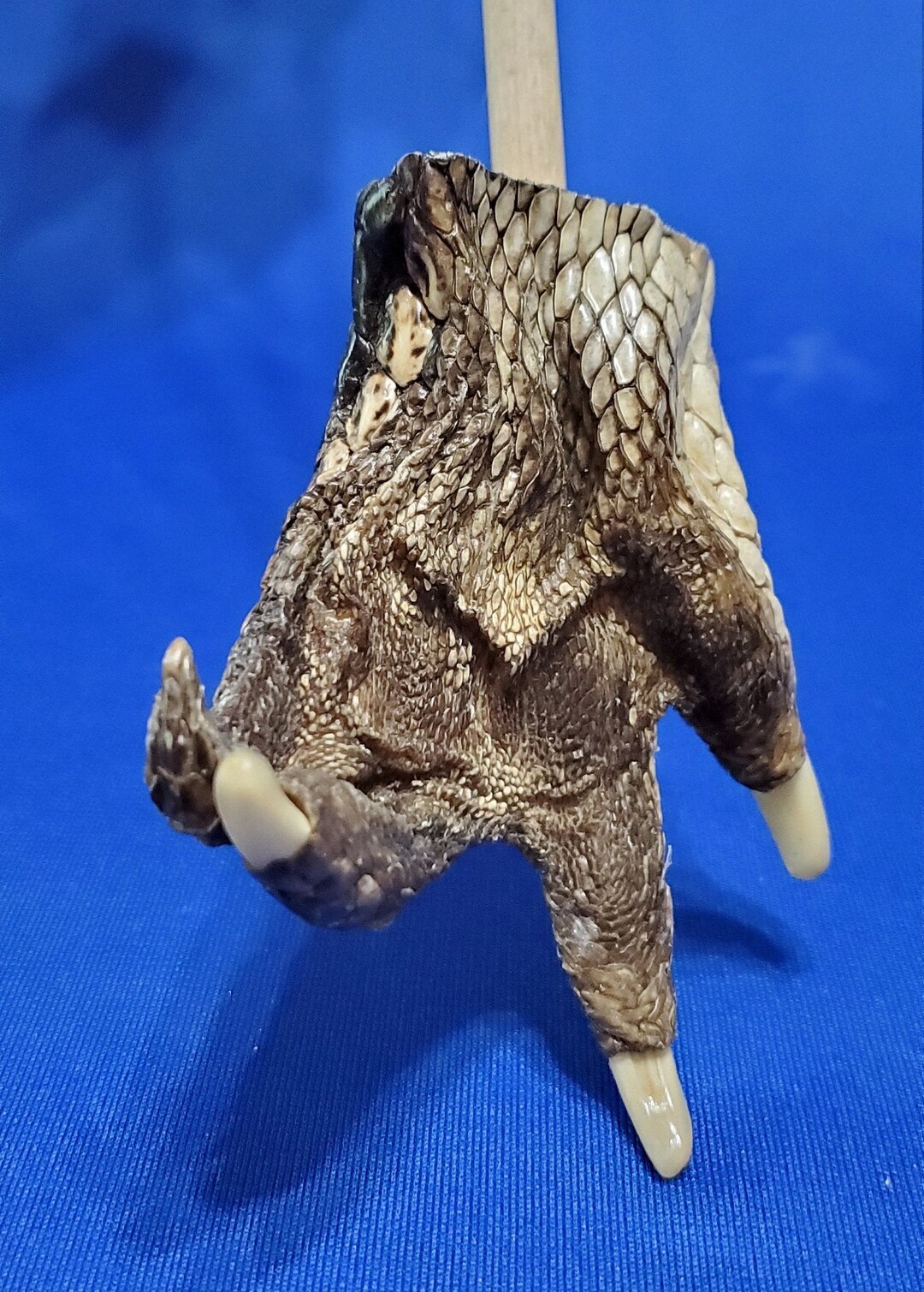 Alligator Claw Backscratcher - Etsy