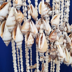 CUSTOMER FAVORITE 54" Chula Shell Chandelier - Etsy