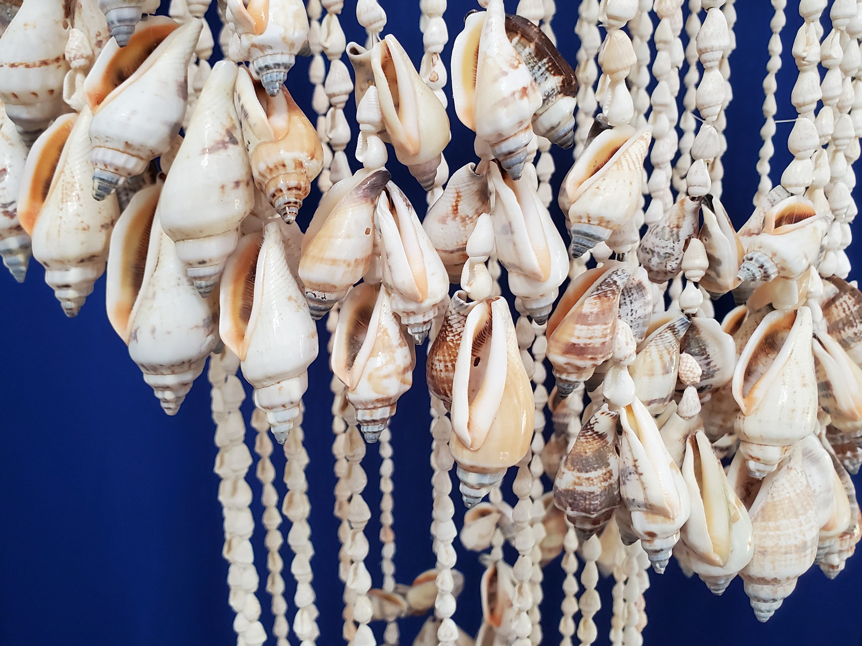 CUSTOMER FAVORITE 54" Chula Shell Chandelier - Etsy