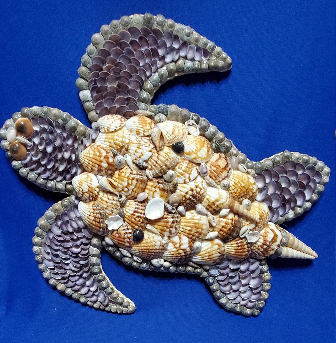 Seashell Sea Turtle Wall Decoration | Etsy