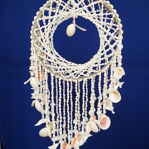 Dream Catcher Moon Shells and Rose Cockle Sea Shell Chandelier - Etsy