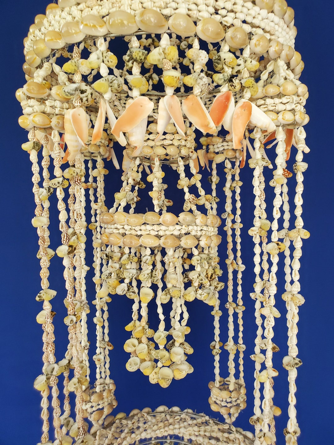 Double Seashell Plant Holder - Etsy