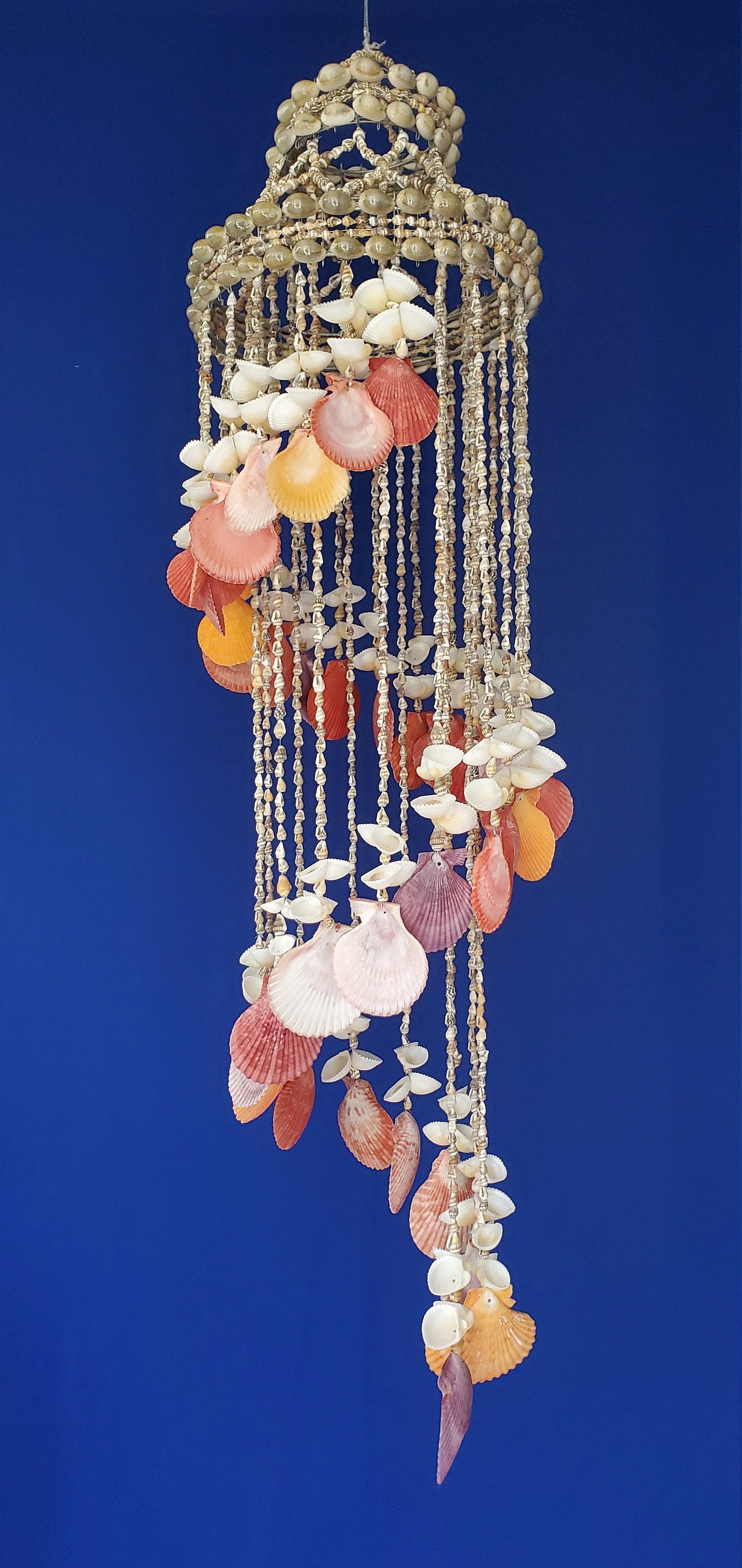 Shell Chandelier With Scallop Sea Shells - Etsy