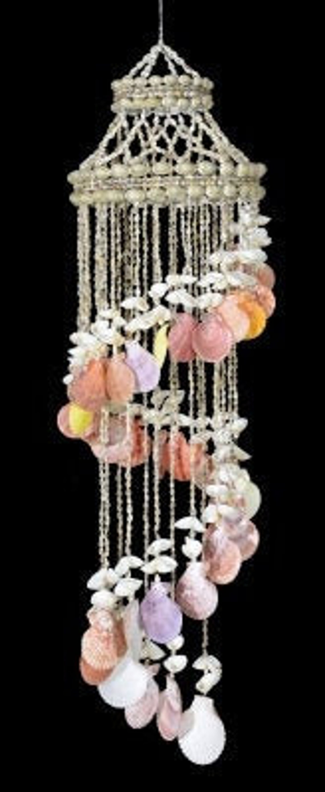 Shell Chandelier With Scallop Sea Shells | Etsy